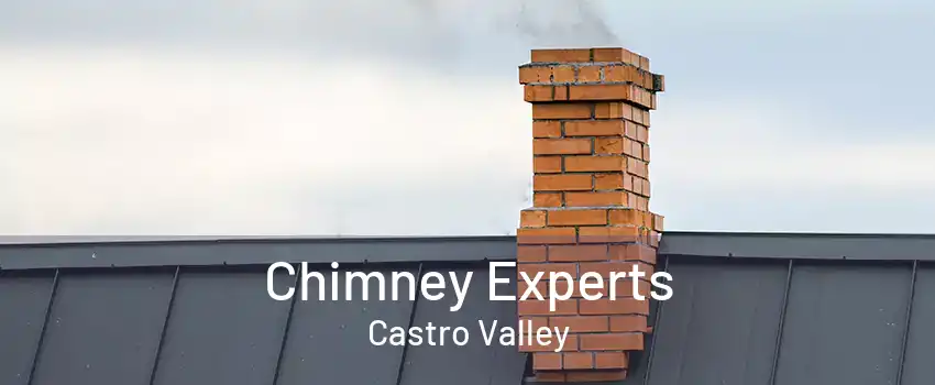 Chimney Experts Castro Valley | Expert Chimney Maintenance